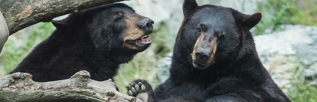 Museums of Boston - let's see what the city of Boston has to offer!