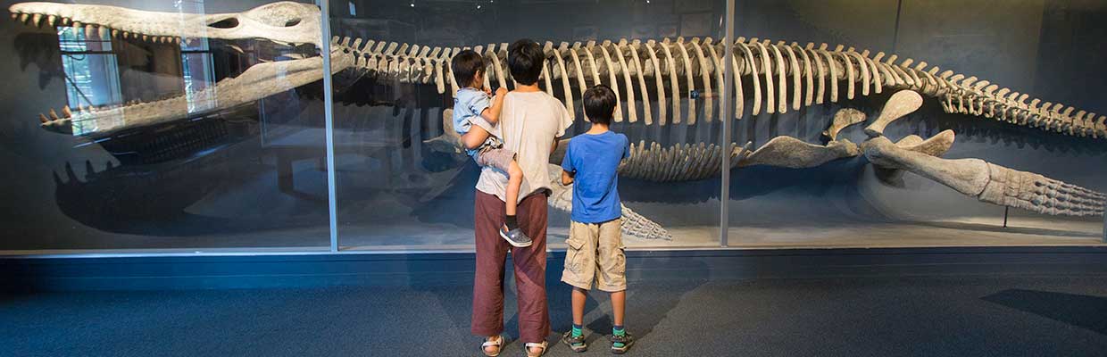 Museums of Boston - let's see what the city of Boston has to offer!